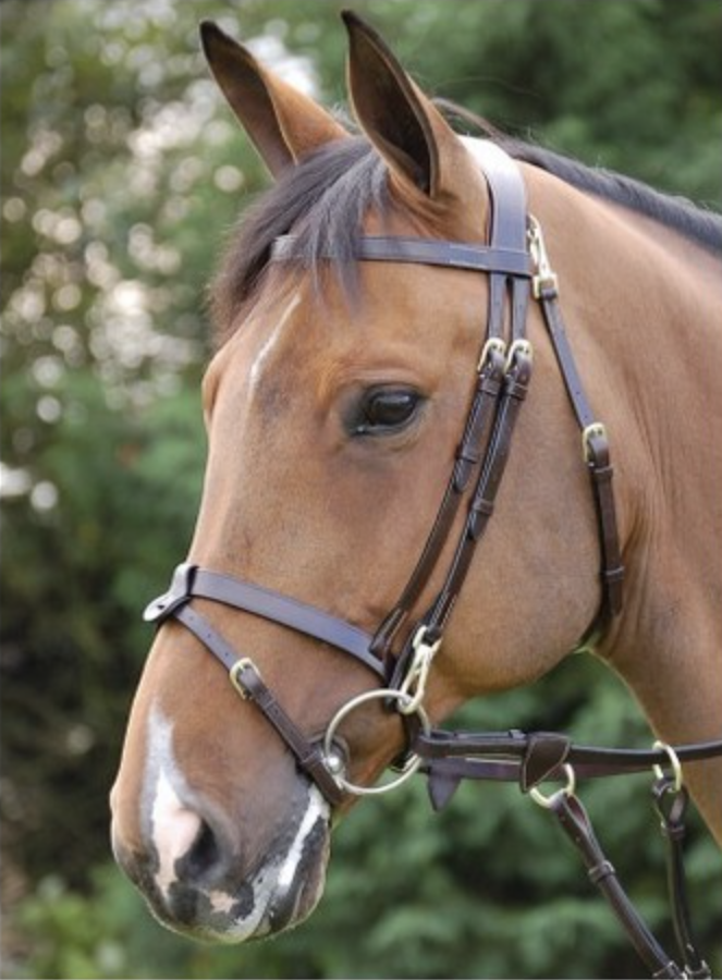 bridon-dyon-mousqueton-plat-muserolle-intégrée | J'entraîne mon cheval